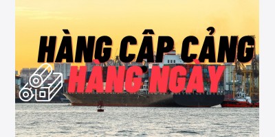 Bản tin VIP sắt thép: Hàng cập cảng TPHCM ngày 08-01-2026 / 2 | Satthep.net